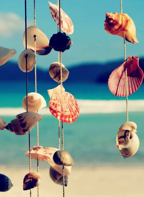 Ideas para decorar con conchas marinas - Primeriti: Blog